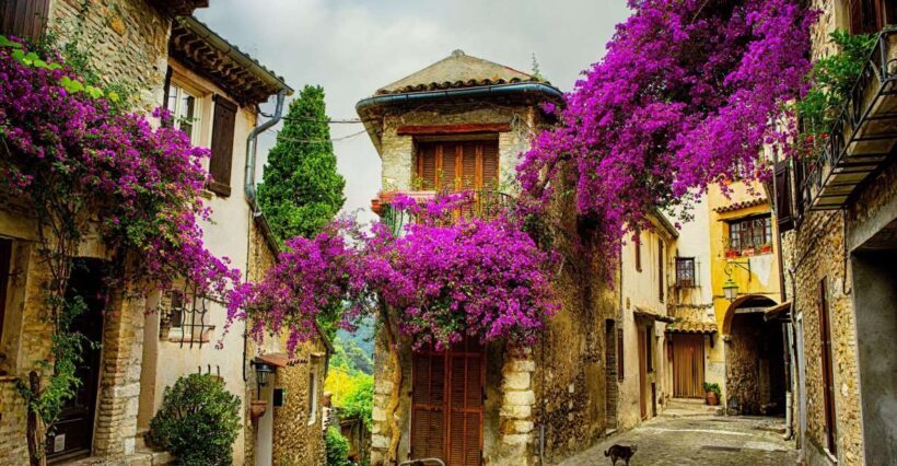 Provence private tour: Aix-en-Provence, (Marseille) & Cassis - Exploring Aix-en-Provence: Art, History, and Cezanne’s Roots