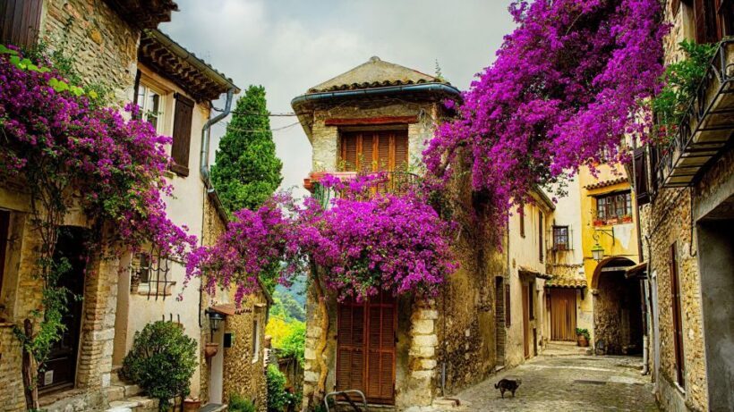 Provence private tour: Aix-en-Provence, (Marseille) & Cassis - The Charm of Cassis and the Calanques