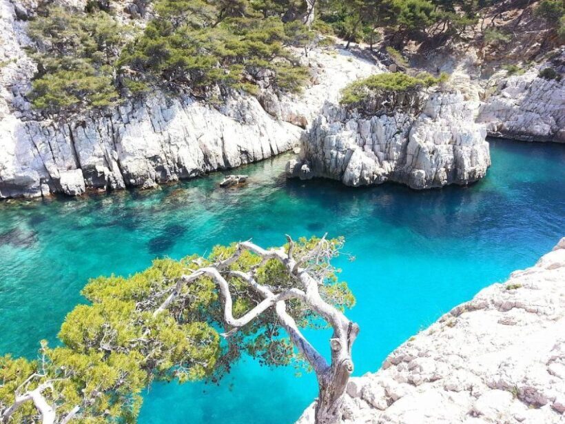 Provence private tour: Aix-en-Provence, (Marseille) & Cassis - The Scenic Drive and Regional Flavors