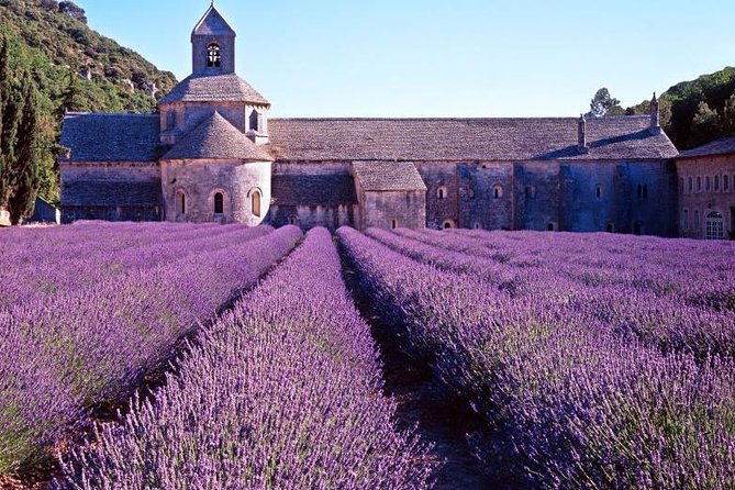 Provence Sea & Countryside Full-Day Private Tour - Detailed Itinerary Breakdown