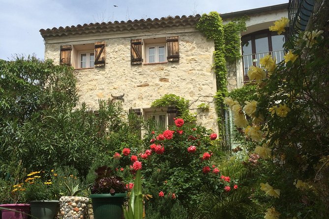 Provence Sea & Countryside Full-Day Private Tour - Transport and Comfort