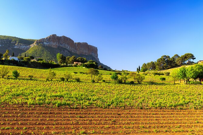 Provence Small Group Wine Full Day Tour in Chateauneuf Du Pape Vineyard From Aix - Exploring the Historical Castle and Its Views