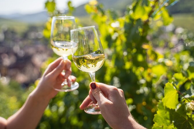 Provence, Vineyards and Lavender Fields Private Day Trip - Who Will Love This Tour?