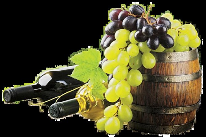 provence wine tasting - Final Thoughts: The Overall Value