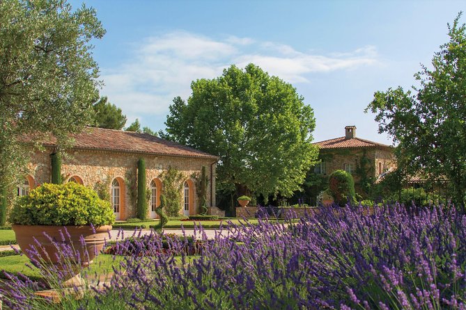 Provence Wine Tour - Private Day Tour From Cannes - Scenic Transport and Comfort
