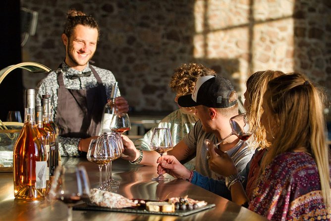 Provence Wine Tour - Private Day Tour From Nice - Vineyard Visits and Tastings