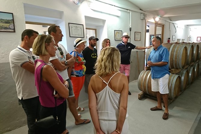 Provence Wine Tour - Private Day Tour From Nice - Wine Tasting Masterclass