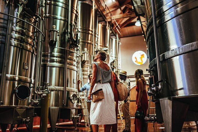 Provence Wine Tour - Private Day Tour From Nice - Exceptional Guide Experiences