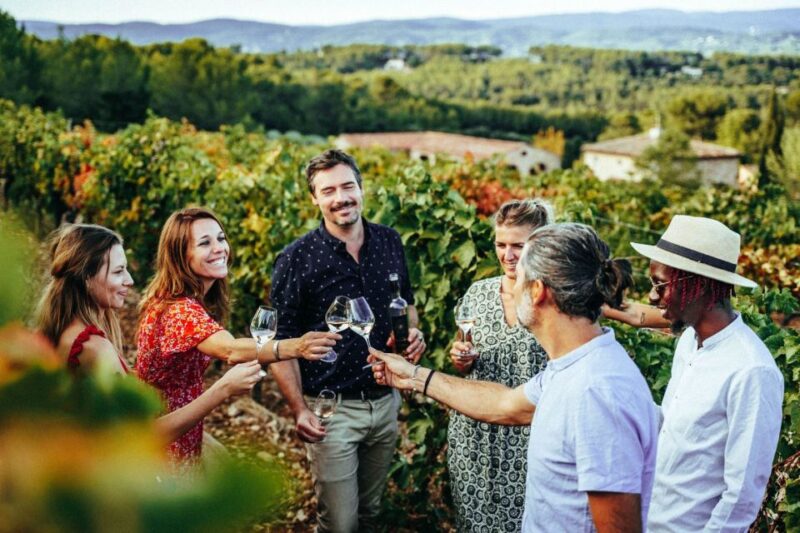 Provence Wine Tour - Small Group Tour from Cannes - Key Points