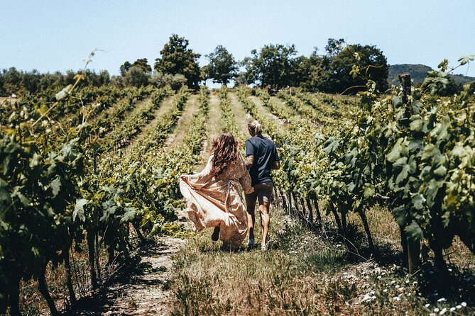 Provence Wine Tour - Small Group Tour From Cannes - Culinary Delights During the Tour