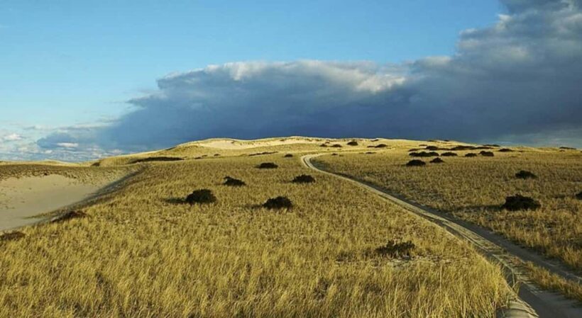 Provincetown: Cape Cod National Seashore Park Dune Tour - What the Tour Looks Like