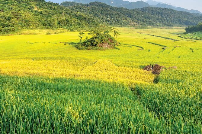 Pu Luong: 3-Day Adventure with Trekking, Cycling & Cooking Class - Key Points