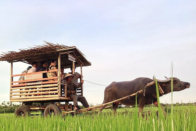 Pu Luong: 3-Day Adventure with Trekking, Cycling & Cooking Class - The Details: How This Tour Works for You