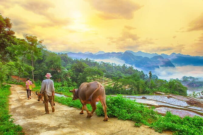 Pu Luong and Halong Bay Multi-Day Private Luxury Tour - Key Points
