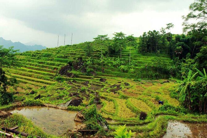 Pu Luong Experience 3 Days Tour: Hieu Waterfall, Infinity Pool, Cave Explorer - Why This Tour Offers Great Value