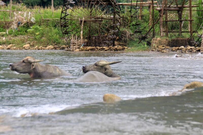 Pu Luong Offbeat Trekking Tour 2 days 1 night with Limousine - Who Will Love This Tour?