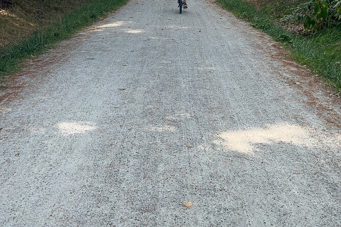 Public | Small Group | Nature & Wildlife Tour Rail Trail| 2-2.5hr - The Itinerary in Detail