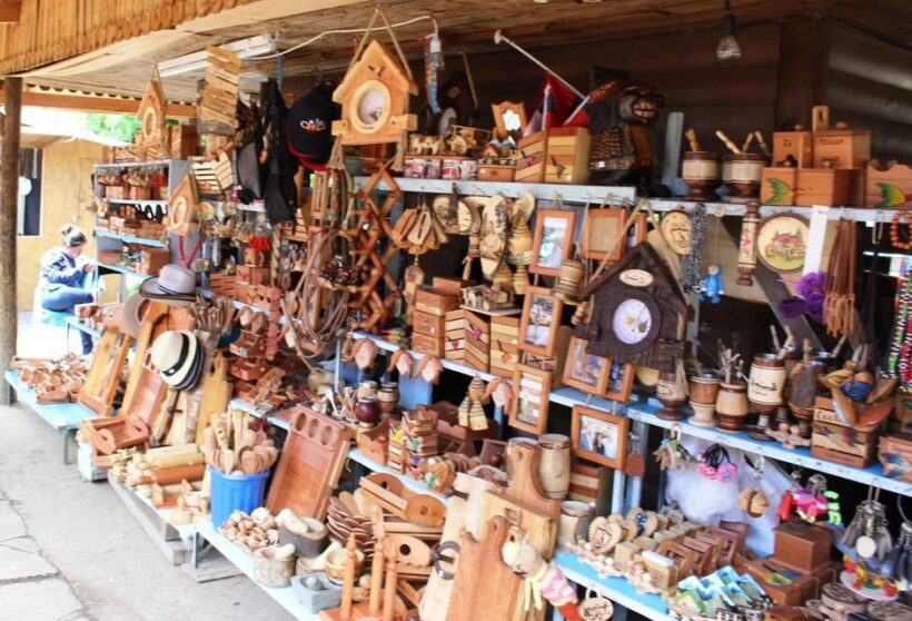 Pucón and Villarrica: Guided Tour with Hotel Pickup - Final Thoughts