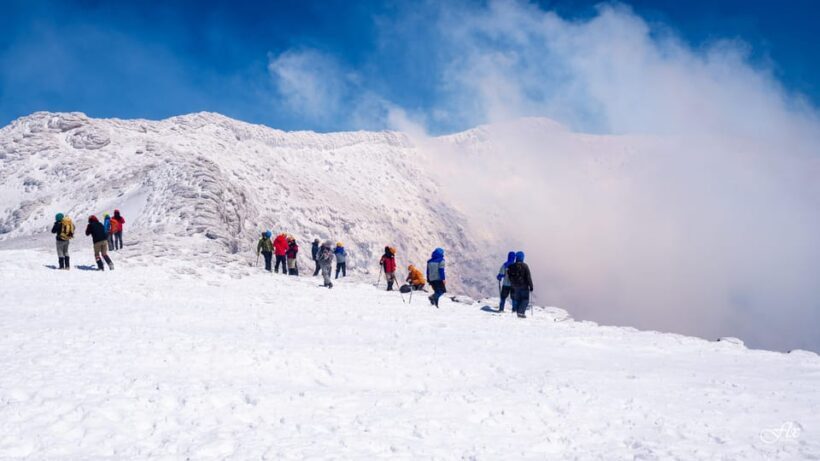 Pucón: Ascent to Villarrica Volcano - The Full Experience: What to Expect