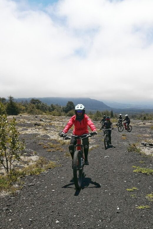 Pucon: Discover active volcano routes with MTB tour in ebike - Key Points