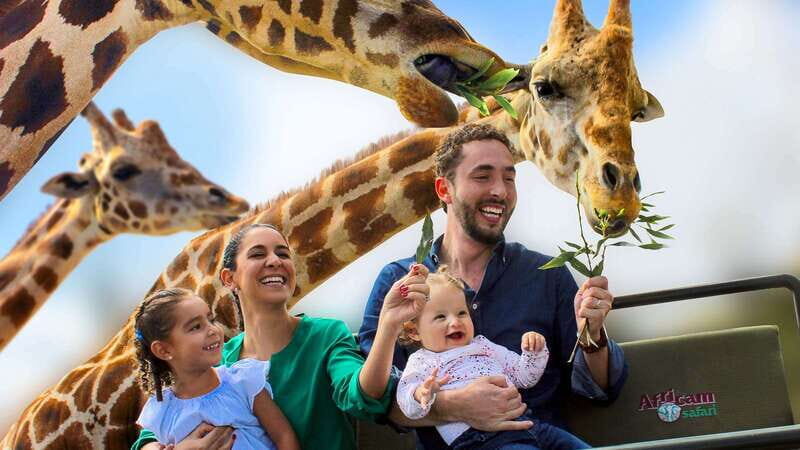 Puebla Africam Safari Park, Live an Unforgettable Adventure! - What to Expect at the Park