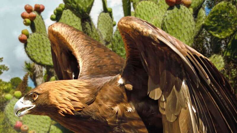Puebla Africam Safari Park, Live an Unforgettable Adventure! - Practical Considerations and Tips