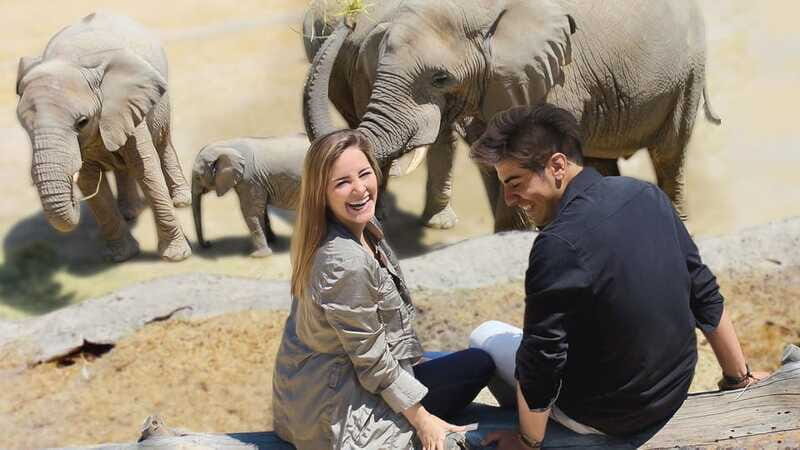 Puebla Africam Safari Park, Live an Unforgettable Adventure! - Who Will Love This Tour?