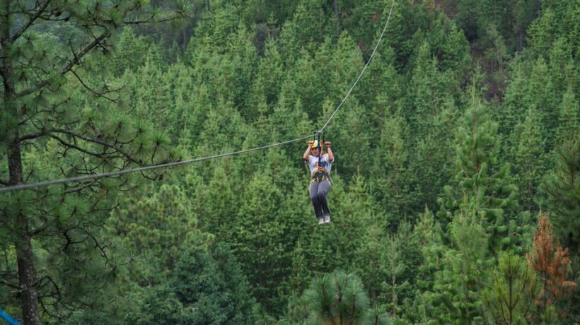 Puebla: Alpinia Mountain and Nature Park - Who Should Consider Visiting?