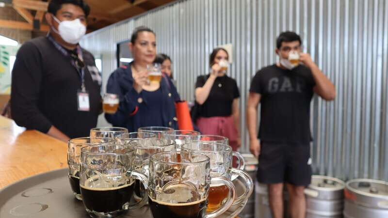 Puebla: Cholula Craft Beer Tour by Tram - An In-Depth Look at the Cholula Craft Beer Tour by Tram