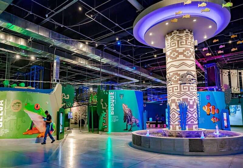 Puebla: Hop-on Hop-off City Tour and Aquarium Michín - What the Reviews Say