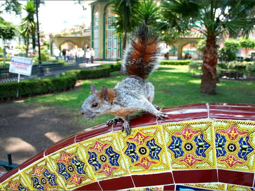 Puebla: Magical Atlixco, Volcano, Unique Garden & Plant Maze - Authenticity and Reviews