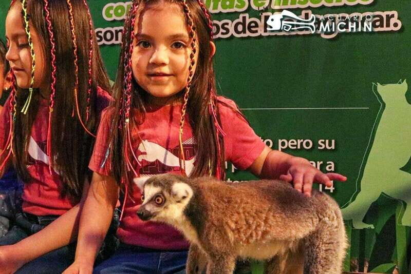 Puebla: Ticket to Aquarium Michin - Is This Tour Worth It?