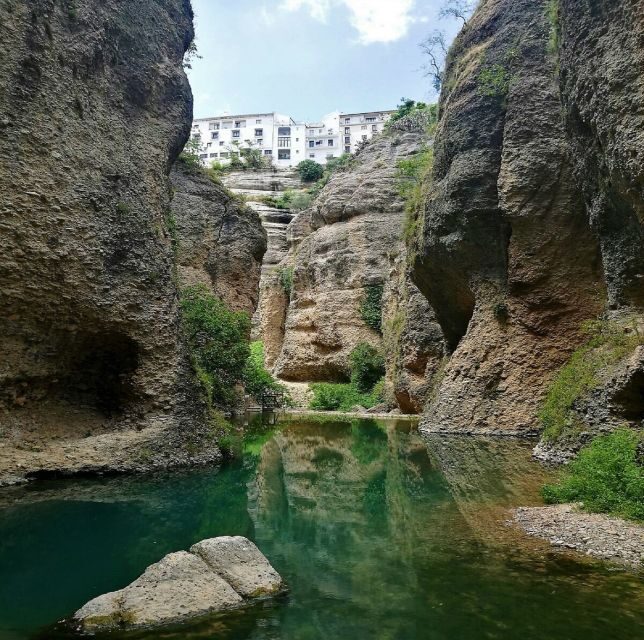 Pueblos Blancos & Ronda: Private Full-Day Tour from Seville - Who Will Benefit Most?