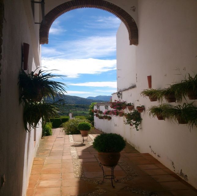 Pueblos Blancos & Ronda: Private Full-Day Tour from Seville - The Sum Up