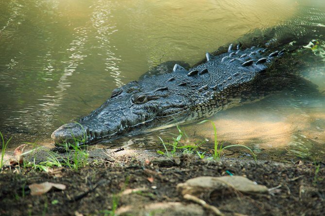 Puerto Angel Exotic Animal Wildlife Experience - What Makes This Tour Stand Out?