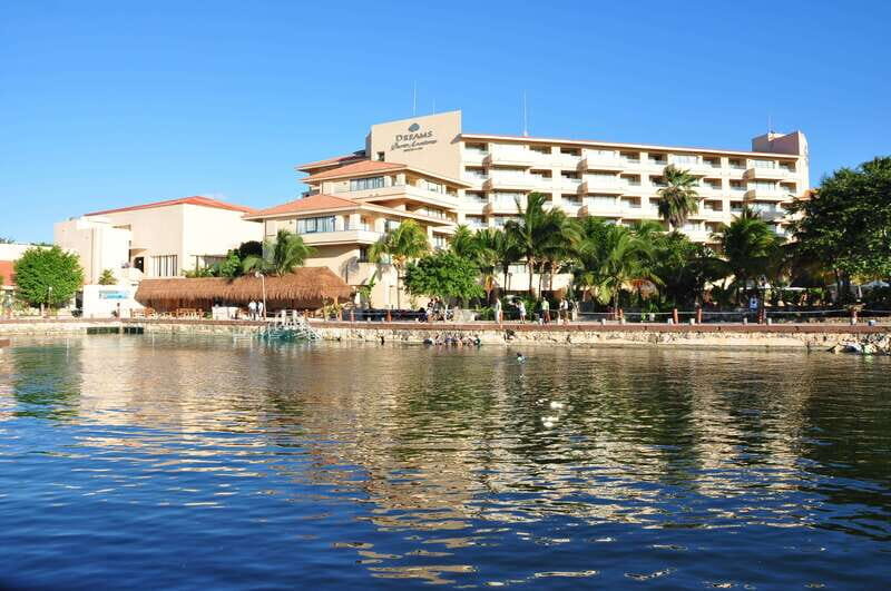 Puerto Aventuras: Amazing Dolphin Encounter with Lunch - Who will enjoy this experience?