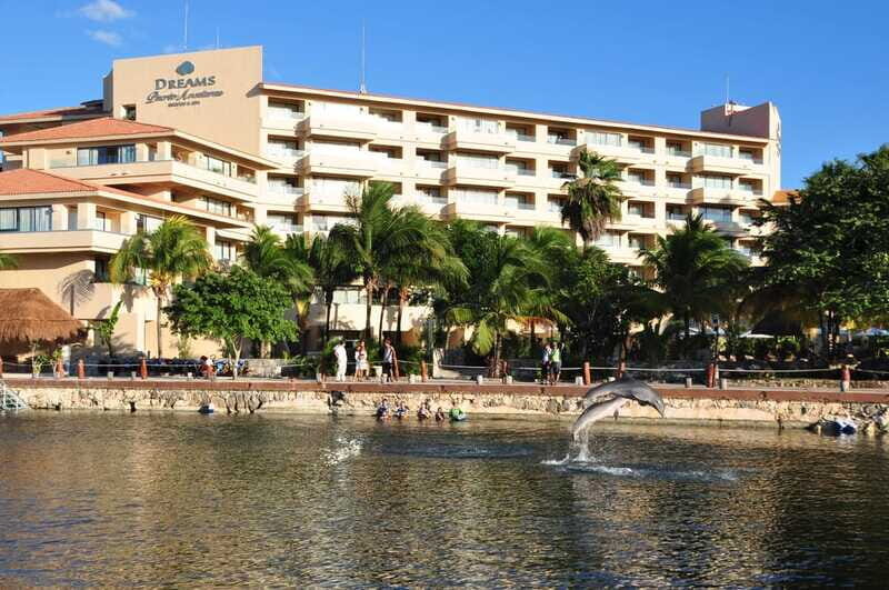 Puerto Aventuras: Amazing Dolphin Encounter with Lunch - What should you bring?