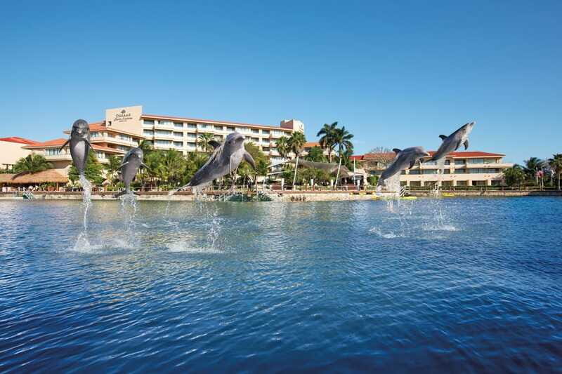 Puerto Aventuras: Amazing Dolphin Encounter with Lunch - The detailed experience: what to expect