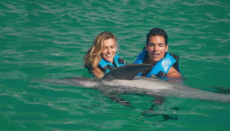 Puerto Aventuras: Amazing Dolphin Encounter with Lunch - Final thoughts