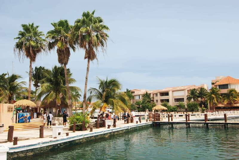 Puerto Aventuras: Dolphin and Manatee Interaction with Lunch - What Travelers Are Saying
