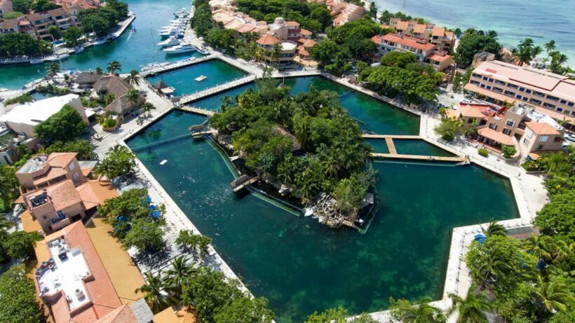 Puerto Aventuras: Dolphin & Manatee Encounter with lunch - An In-Depth Look at the Experience