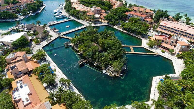 Puerto Aventuras: Dolphin & Manatee Encounter with lunch - The Sum Up