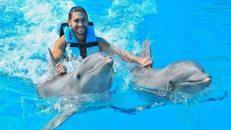 Puerto Aventuras: Dolphin Swim, Sea Lions, Manatees, & Lunch - A Closer Look at the Experience