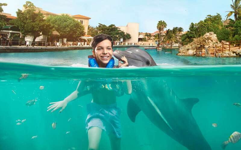 Puerto Aventuras: Dolphin Swim, Sea Lions, Manatees, & Lunch - What’s It Like on the Day?