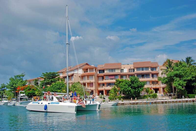 Puerto Aventuras: Dolphin Swim, Sea Lions, Manatees, & Lunch - Final Thoughts