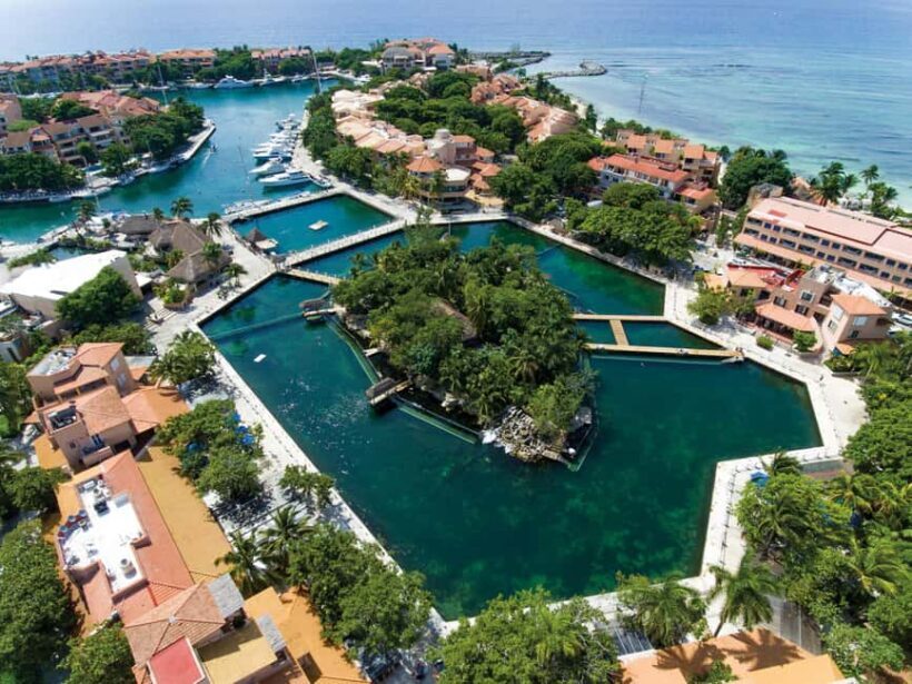 Puerto Aventuras: Dolphins, Manatee & Sea Lion interaction - The Sum Up: Who Should Consider This Tour?