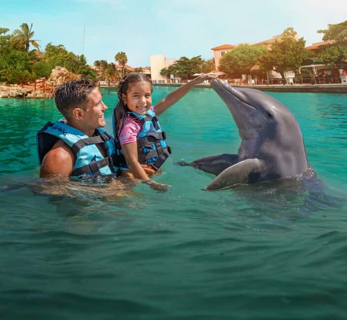 Puerto Aventuras: Dolphins, Manatee & Sea Lion interaction - FAQ