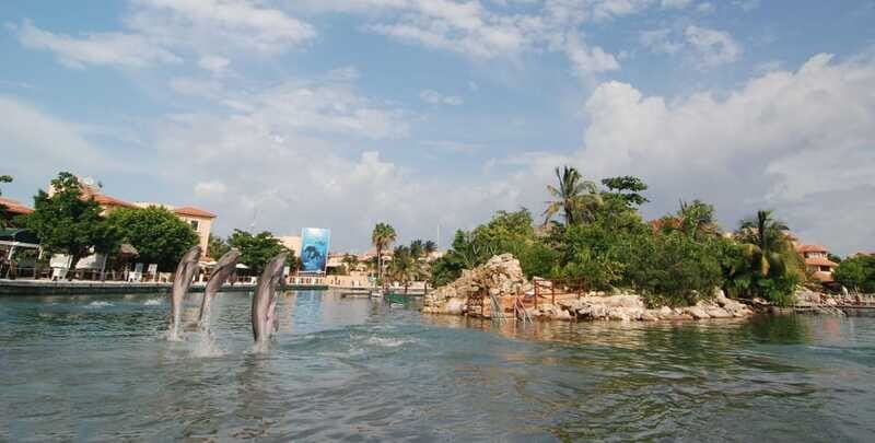 Puerto Aventuras: Manatee Encounter - Final Thoughts