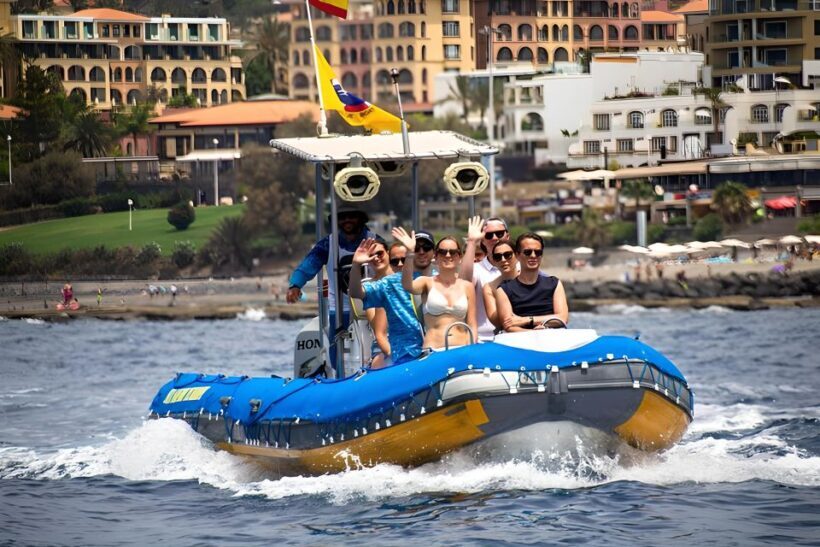 Puerto Colon: Dolphin and Whale Watching Speedboat Cruise - The Sum Up