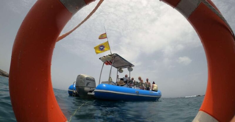 Puerto Colon: Dolphin and Whale Watching Speedboat Tour - The Itinerary — A Closer Look